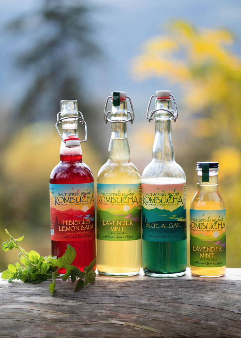 Kombucha - Why kombucha?